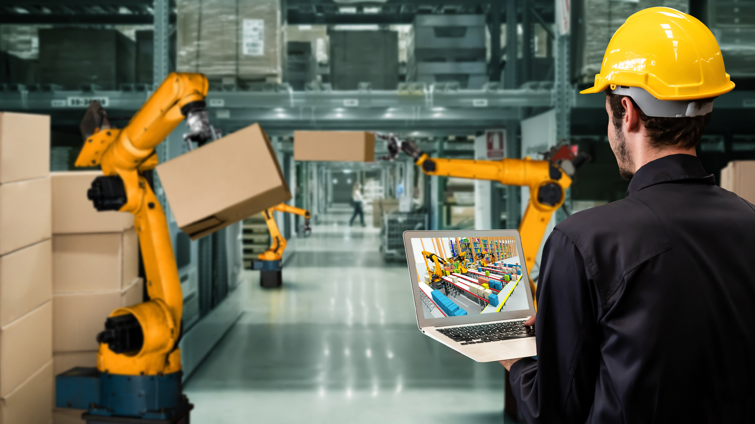 Simulation and Emulation in Risk Management - Warehouse Automation