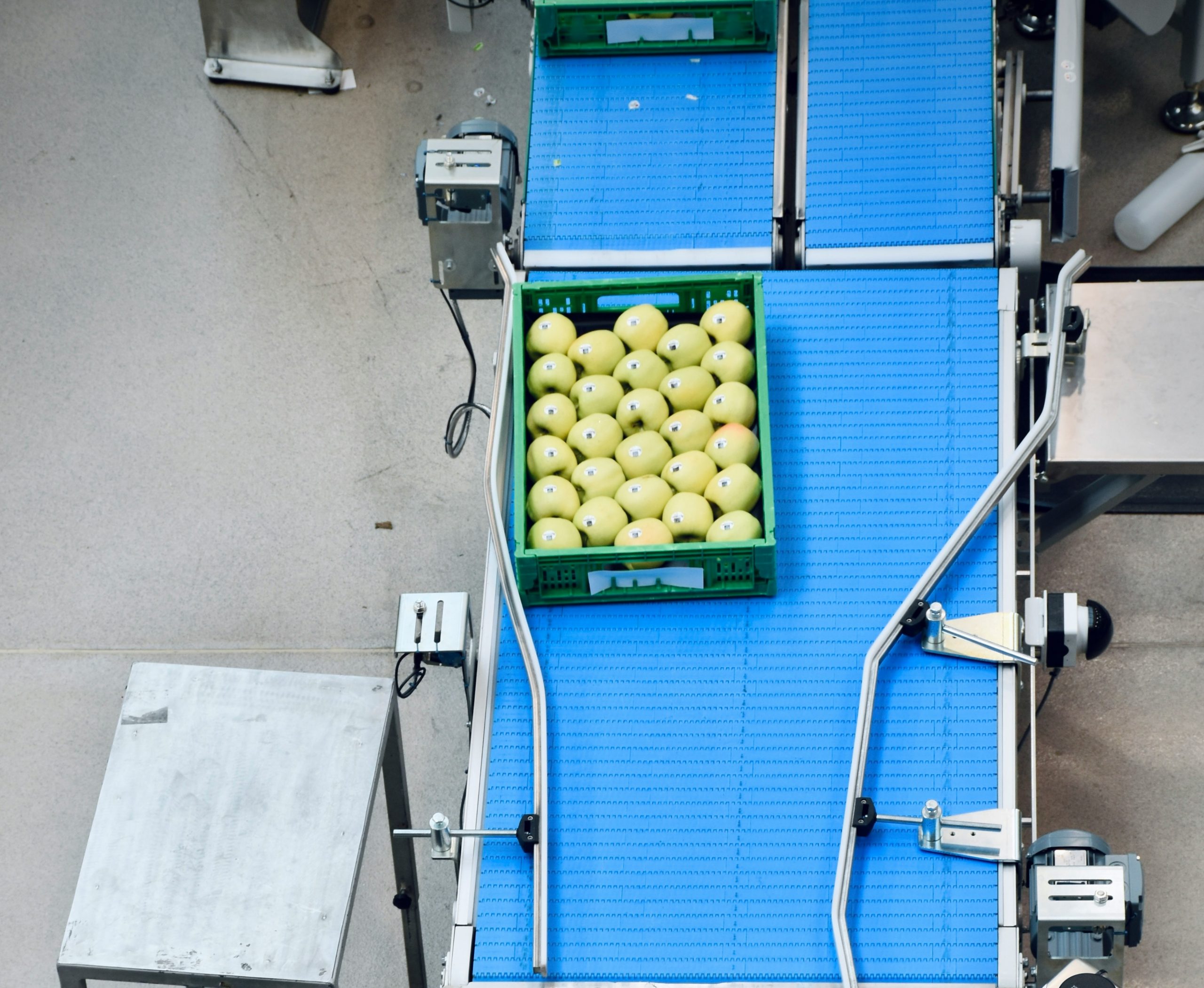 Automation in the Cold Chain - Warehouse Automation